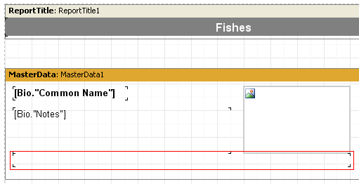 Text wrap of objects | FastReport VCL